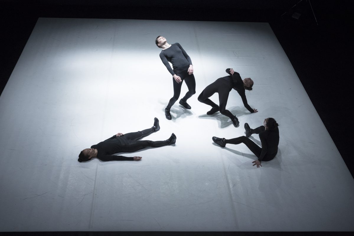 Vis Motrix by CocoonDance / Atlas da Boca by Gaya de Medeiros | The ...